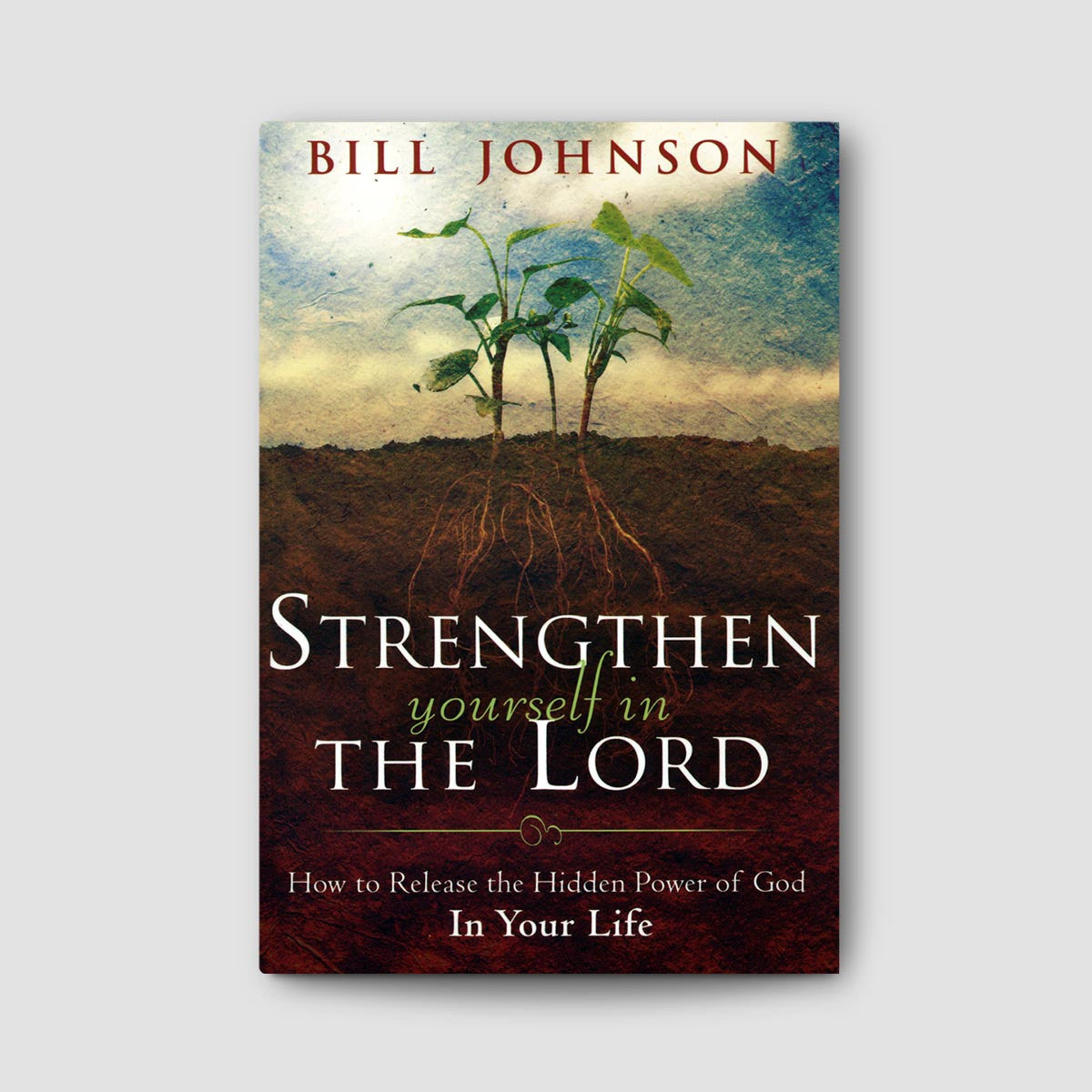 Best Sellers in Books – Bethel Store
